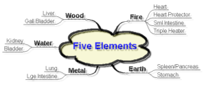 The Five Elements & Reiki: Meridians and “Organs” | Reiki Evolution